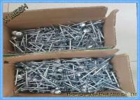 China Q195 Flat Head Polished Building Material Steel Iron Wire Common Nails for Wood and Conctruction for sale