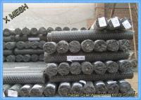 China Hexagonal Wire Mesh Chicken Fence for Poultry Farm Mesh Net for sale