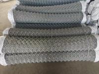 China Galvanized PVC Coated Low Carbon Steel Wire 60*60mm Chain Link Fence for sale