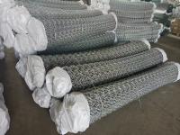 China Galvanized PVC Coated Low Carbon Steel Wire 60*60mm Chain Link Fence for sale