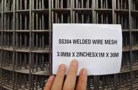 China Galvanized Welded Metal Mesh Panel for Fence Panel for Construction for Bird Cage for sale
