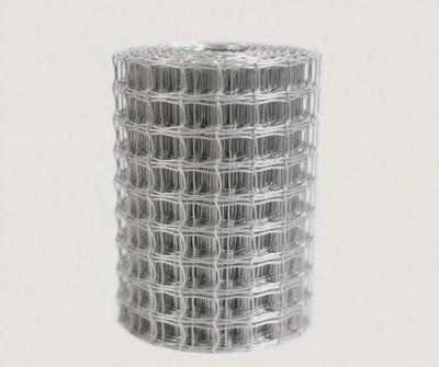 China Hot Dipped Galvanized Fencing Netting 10 Gauge Steel Welded Wire Mesh for sale