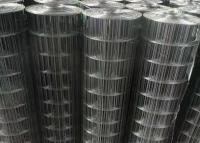 China Hot Dipped Galvanized Green PVC Coated Welded Wire Mesh Panel for sale