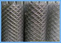 China Hot Dipped Galvanized Chain Link Garden Security Wire Mesh Iron Metal Farm Fence for Garden for sale