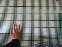 China Galvanized Powder Coated Steel Hot DIP 358 Anti Climb Cut Clear View High Security Welded Wire Mesh Industrial Commercial Prison Boundary Panel Protection Fence for sale