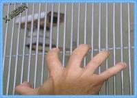 China High Security Iron 358 Fence Safety Airport Anti Climb Theft Steel Durable Welded Mesh Panel for sale