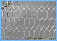 China PVC Powder Coating Expanded Metal Mesh ISO Galvanized Expanded Metal Wire Mesh Decorative Mesh Manufacture for sale