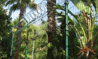 China High-Quality Bto-22 Concertina Razor Barbed Wire Coil for Security Fencing in Nigeria Market for sale