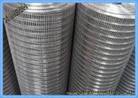 China Hot Dipped Electric Galvanized Welded Wire Mesh Stainless Steel SGS Approved for sale