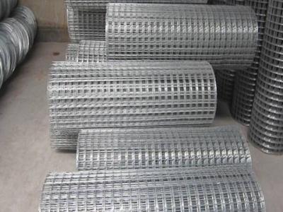 China Stable-Structured High-Strength Durable Electrical Galvanized Welded Wire Mesh – 3/8