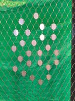China Wholeslae Customized High Strength Stainless Steel Rope Fence Mesh for sale
