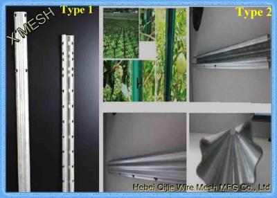 China Hot-Dipped Galvanized Steel Vineyard Trellis Posts - 1.5mm to 2.5mm Thickness, 1.8m to 3.0m Lengths for Grape Vine Support for sale