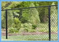 China Green PVC Coated 2-inch Mesh 6FT Chain Link Fence for Sportsground - 1.2mm to 5.0mm Wire Diameter for sale