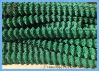 China Stainless Steel PVC/Galvanized Wire Mesh Chain Link Fence Metal Security Fence for Farm/Garden for sale