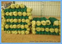 China Security Fence Galvanized Chain Link Fence Fabric Roll Building Material for sale