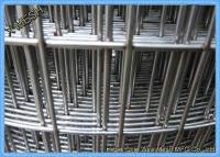 China Square Mesh Welded Wire Panels , Weld Mesh Fence Panels 23 / 8 / 9 Gauge for sale
