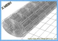 China Stainless Steel Welded Wire Mesh 1/4