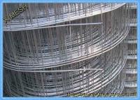 China 12 Gauge Hot Dipped Galvanized 2 Inch Welded Wire Mesh Roll with SGS Certifacate for sale