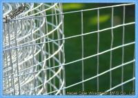China Industrial Aviary 1