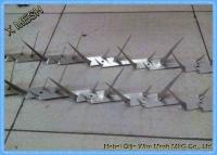 China Anti Climb Wall Spikes Security Fence Spikes 1.25m Length 100mm Spike Height Hot-Dip Galvanized Steel for sale
