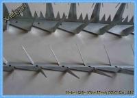 China Anti Climb Wall Spikes Security Fence Spikes 1.25m Length 100mm Spike Height Hot-Dip Galvanized Steel for sale