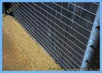 China 358 Security Fence 76.2mm x 12.7mm Opening with 4mm Wire Diameter - Anti-Climb Welded Mesh for sale