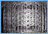 China Reinforced Mesh - Pipe - Line Welded Wire Mesh Low Carbon Steel Wire for sale