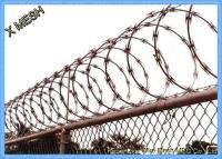 China 10m Hot Dipped Galvanized Concertina Razor Wire 23 Loops with 2.5mm Core Wire and 0.5mm Blade Thickness for sale
