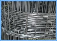China Hot Dipped Galvanized Hinge Joint Field Fence 2.5mm Wire 50-200m Rolls for Cattle and Farm Animals for sale