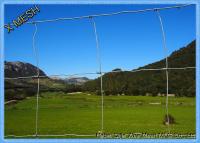 China Hot Dipped Galvanized Hinge Joint Field Fence 2.5mm Wire 50-200m Rolls for Cattle and Farm Animals for sale