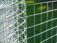 China 0.5mm Galvanized Plastering Welded Wire Fabric With High Tensile Strength for sale