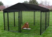 China Galvanized Double Dog Kennel Panels , Dog Run Panels Outdoor Large Size for sale