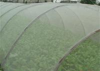 China Durable 3-5 Year UV-Resistant Insect Repellent Net 20x10 Anti-Aphid Greenhouse Protection 16-29% Shade for sale