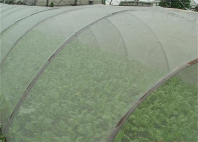 China Durable 3-5 Year UV-Resistant Insect Repellent Net 20x10 Anti-Aphid Greenhouse Protection 16-29% Shade for sale