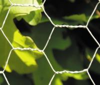 China Acid Resistance Stainless Chicken Wire For Poultry Fencing And Gabions In Roll for sale