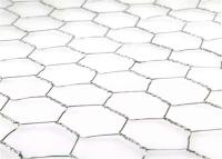 China Acid Resistance Stainless Chicken Wire For Poultry Fencing And Gabions In Roll for sale