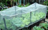 China HDPE Plastic Garden Fly Screen Mesh 20/30/40/50 Mesh Anti Insect Net 100m Length 1-6m Width for sale