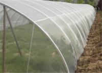 China 2x30m UV Resistant Anti Insect Fly Screen Mesh Growing Vegetable White Netting for sale