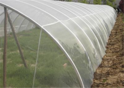 China 2x30m UV Resistant Anti Insect Fly Screen Mesh Growing Vegetable White Netting for sale
