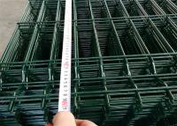 China PVC Coated Welded Wire Mesh Fencing for Poultry Houses - 24
