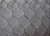 China Green 20 Ga Metal Wire Mesh Decorative Hexagonal Wire Netting PVC Coated for sale
