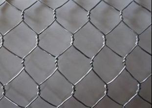 China Green 20 Ga Metal Wire Mesh Decorative Hexagonal Wire Netting PVC Coated for sale