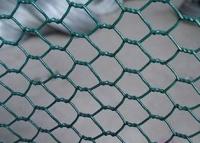 China Green 20 Ga Metal Wire Mesh Decorative Hexagonal Wire Netting PVC Coated for sale