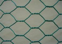 China Green 20 Ga Metal Wire Mesh Decorative Hexagonal Wire Netting PVC Coated for sale