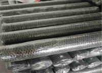 China 304 Stainless Steel 20 GA Chicken Wire Mesh Poultry Netting with 3/4