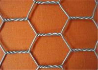 China 20 Ga Chicken Stainless Steel Woven Wire Mesh Poultry Mesh Hexagon Hole 3/4