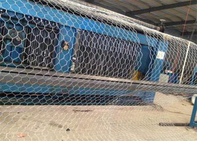 China Galvanized Hexagonal Chicken Wire Mesh 0.4mm-2.1mm Wire Diameter with PVC Coating Options for sale