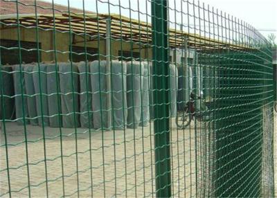 China Pvc Coated Euro Holland Welded Wire Fence 1.83 Height X25m Length for sale