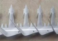 China Hot Dipped Galvanized Steel Anti Climb Wall Spikes 120mm for sale