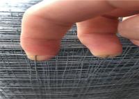 China 1/4x1/4 Inch 1/2x1/2 Inch 2x2 Inch Galvanized Welded Wire Mesh Rolls for sale